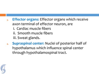 Sympathetic Anatomy | PPTX
