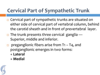 Sympathetic Anatomy | PPTX