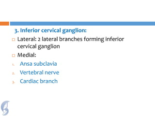 Sympathetic Anatomy | PPTX