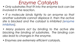 Chemical kinetics | PPT