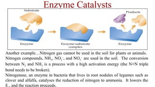 Chemical kinetics | PPT
