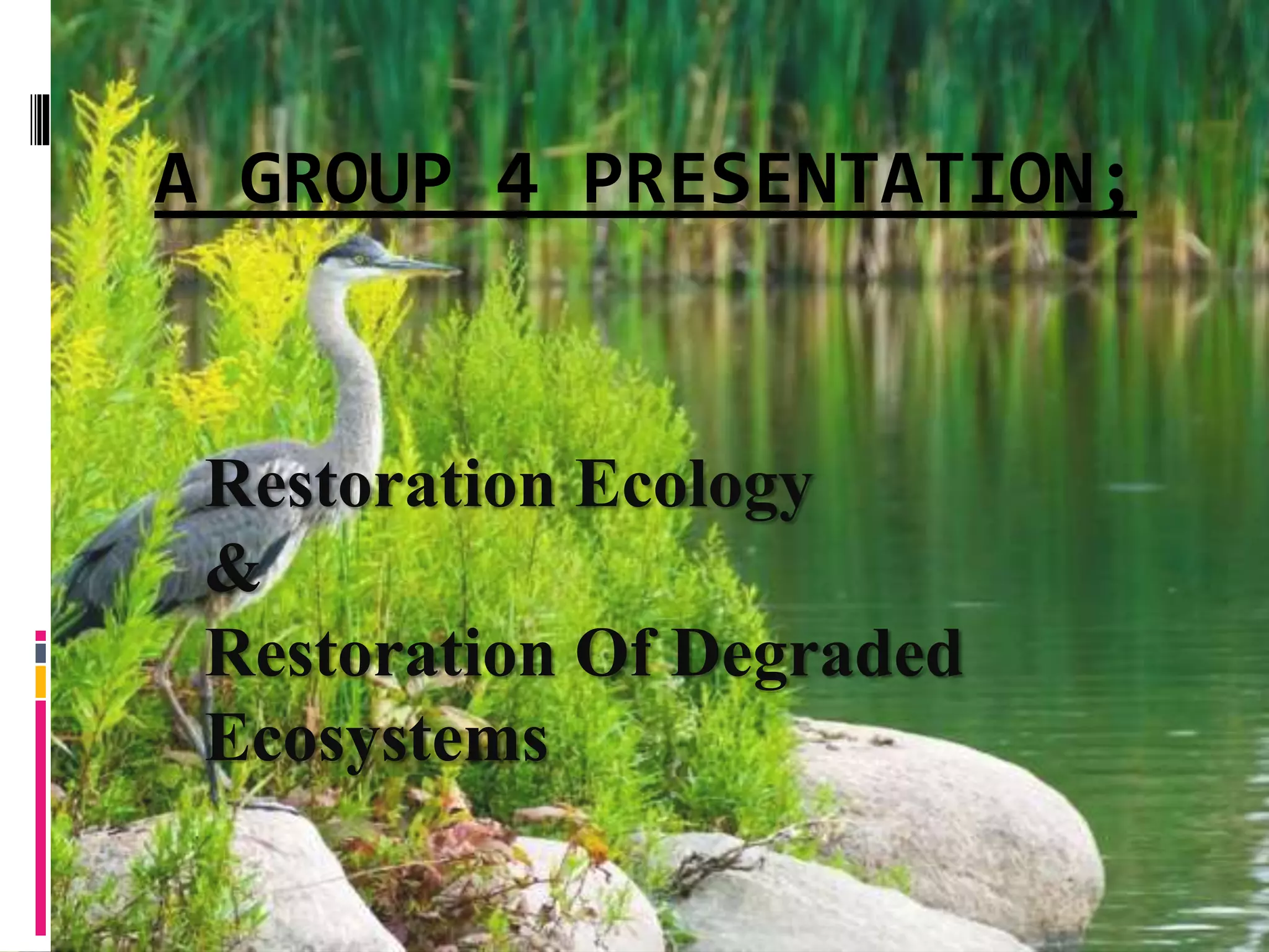 restoration ecology and restoration of degraded ecosystem | PPTX