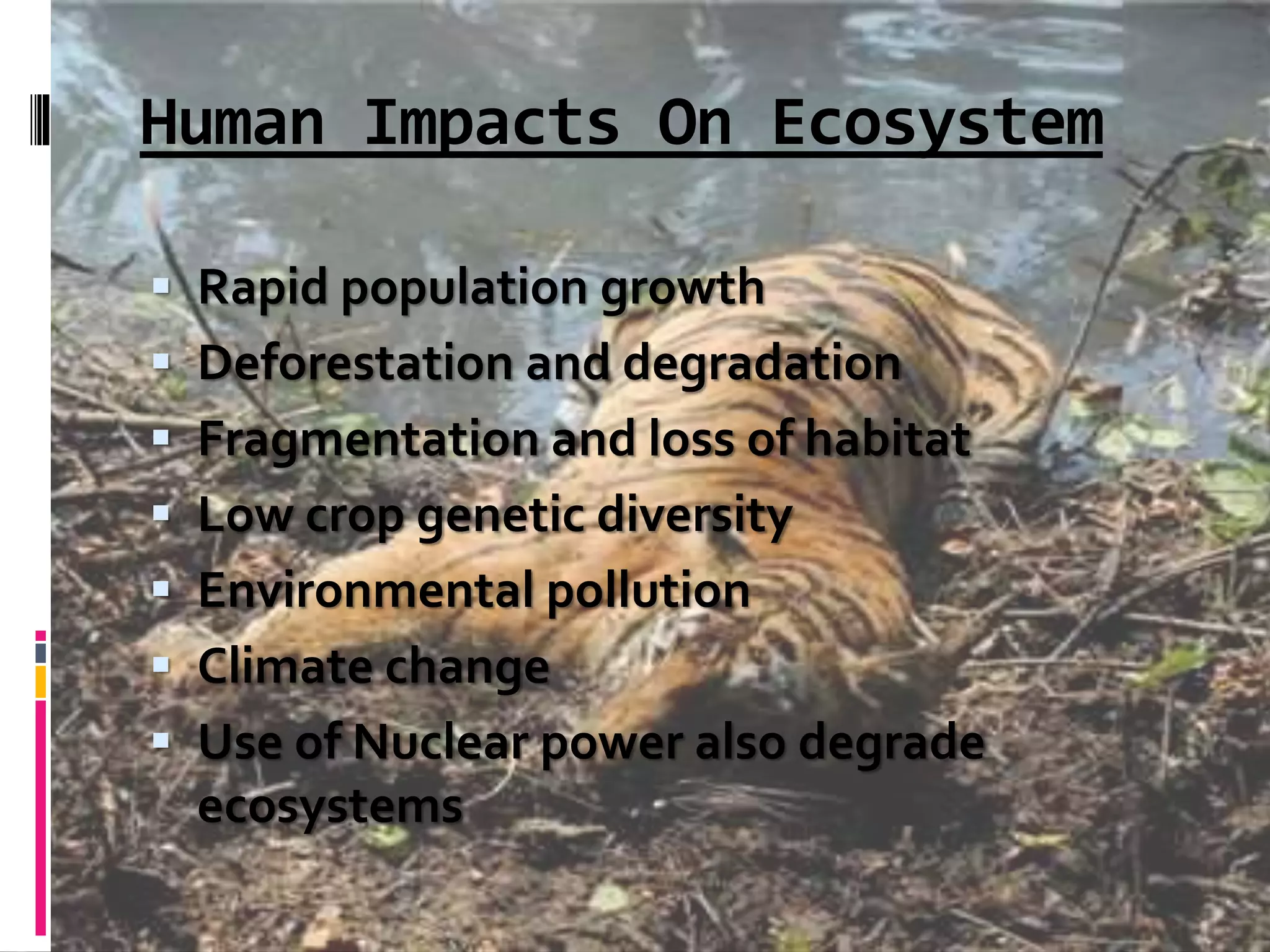 restoration ecology and restoration of degraded ecosystem | PPTX