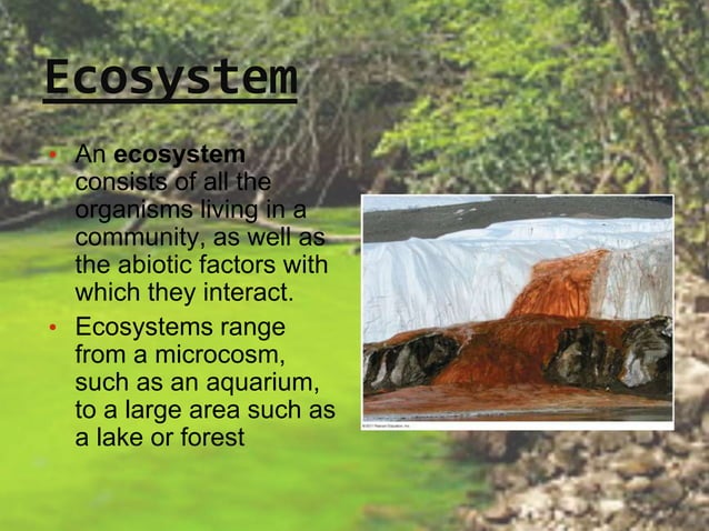 restoration ecology and restoration of degraded ecosystem | PPTX