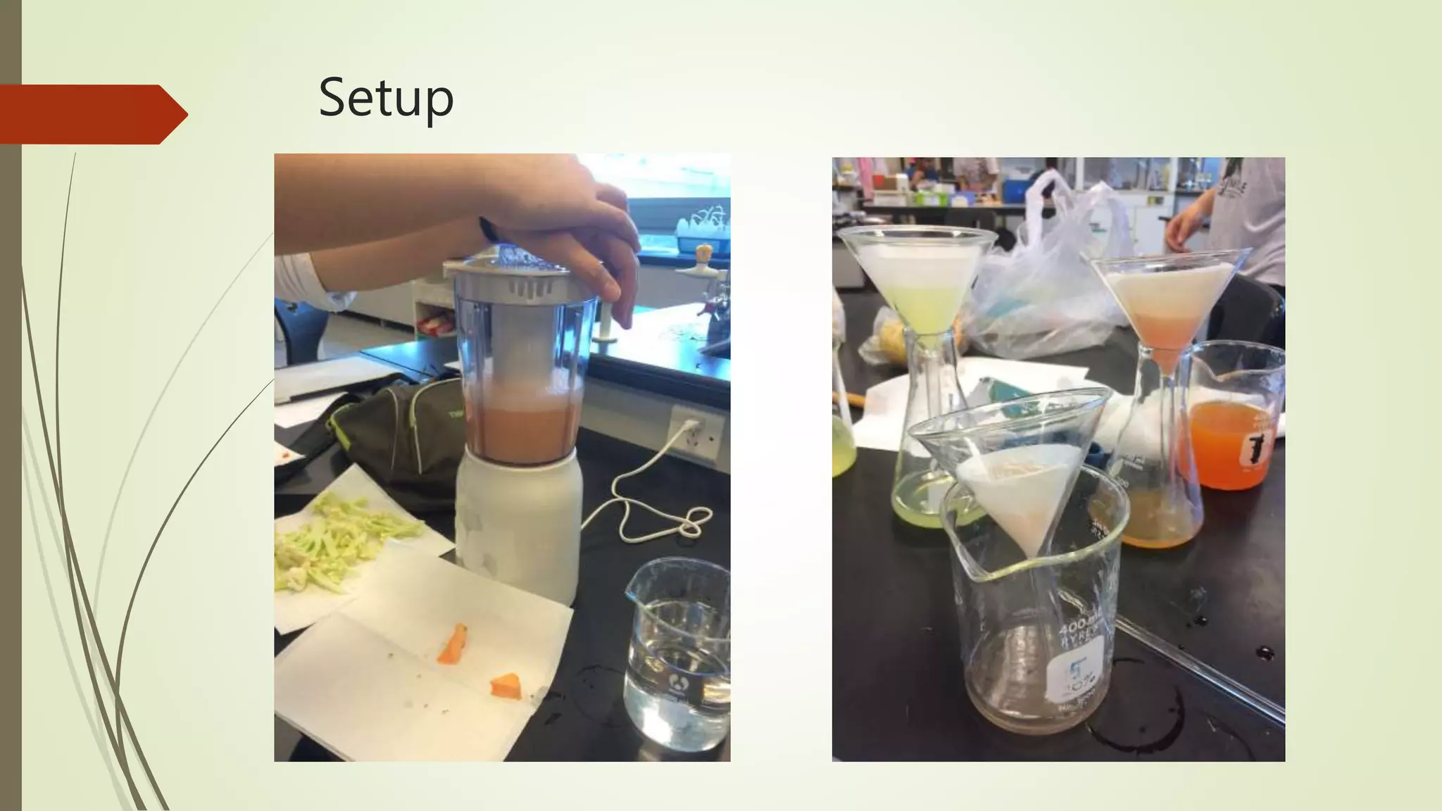 G4 presentation | PPTX