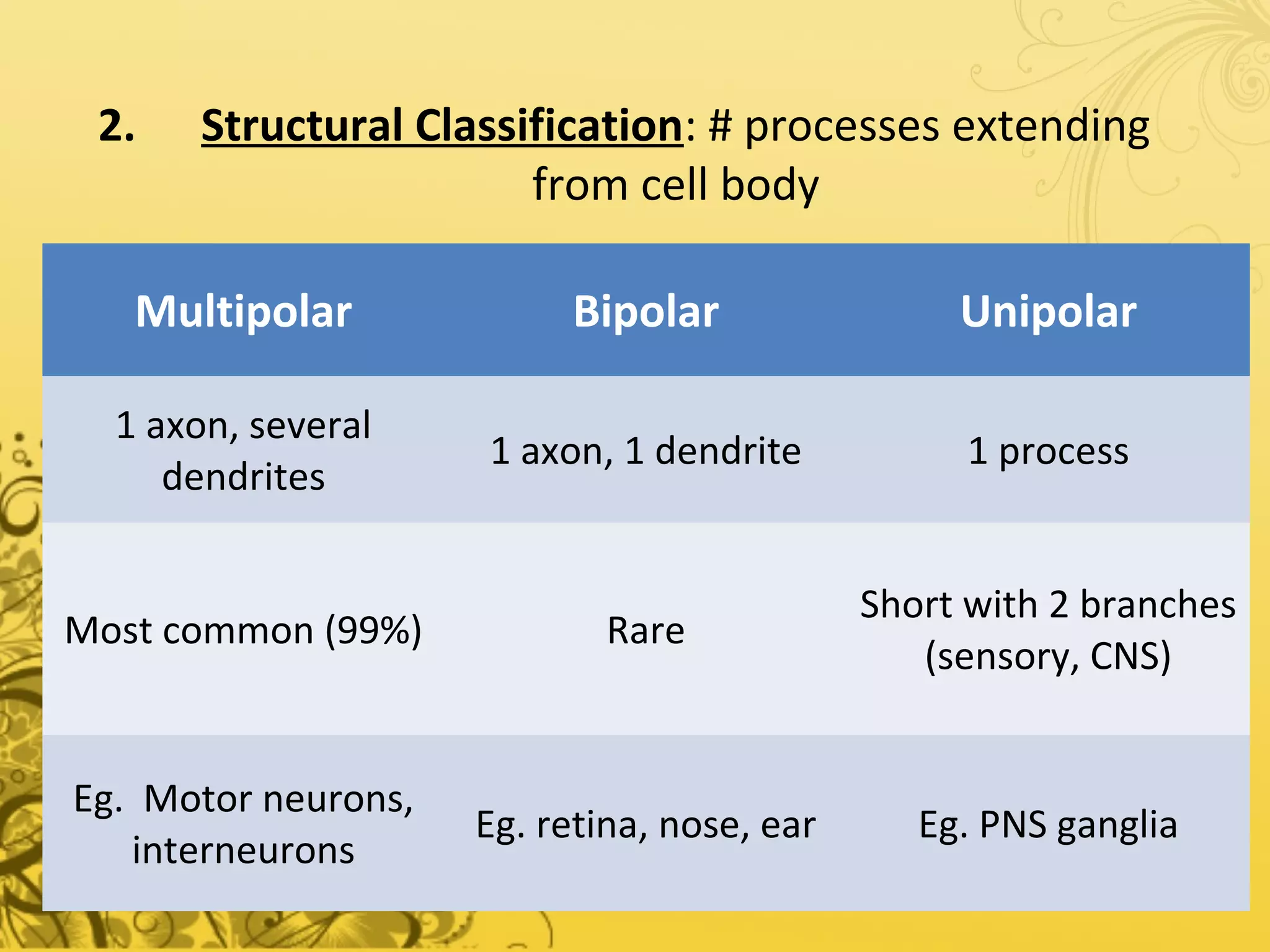 Anatomy lab. 7 nervous sys. | PPT