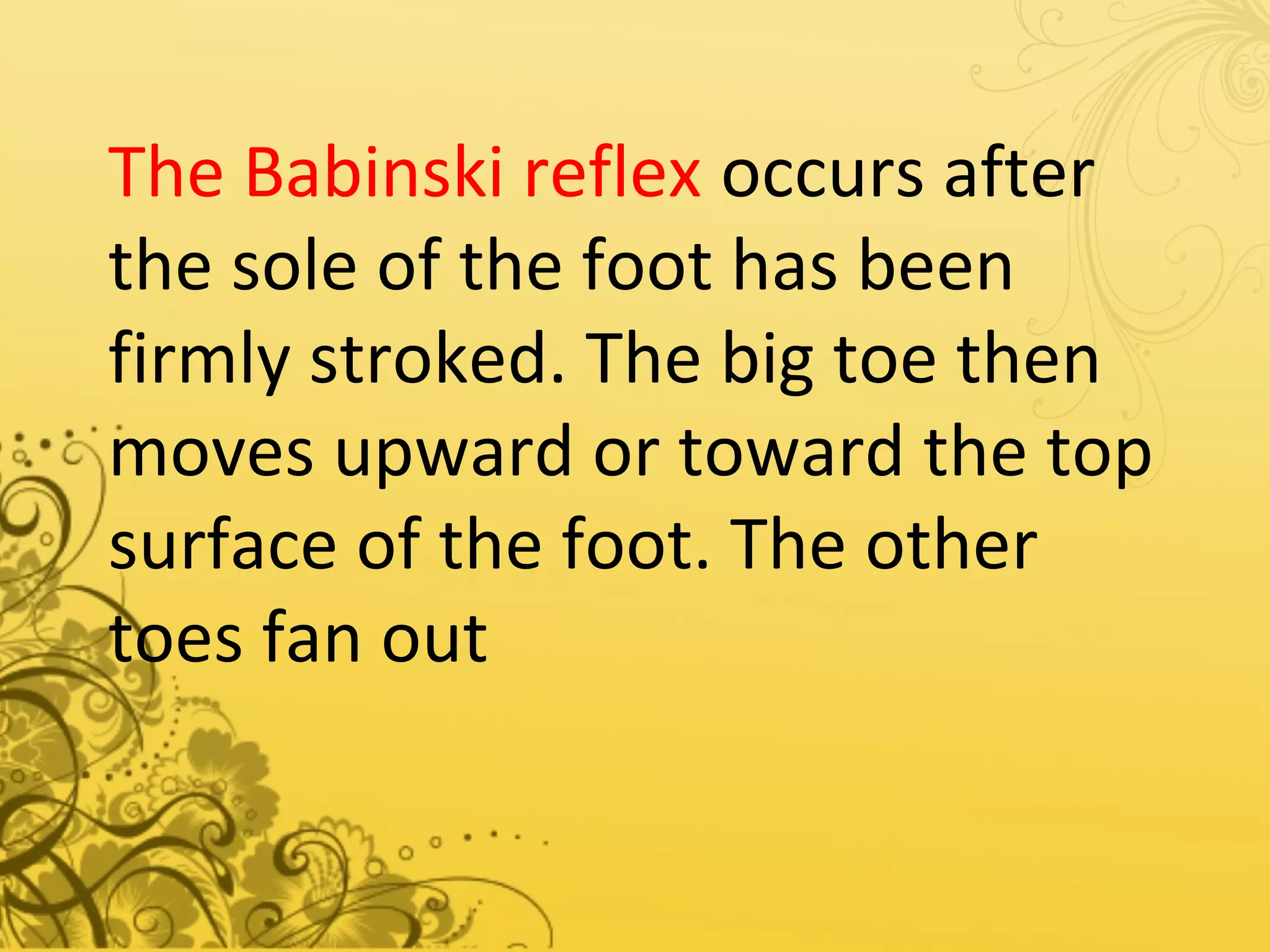 Anatomy lab. 7 nervous sys. | PPT