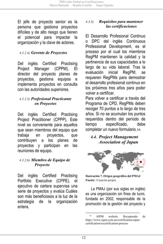 G5 paper infografiado-pmi- | PDF