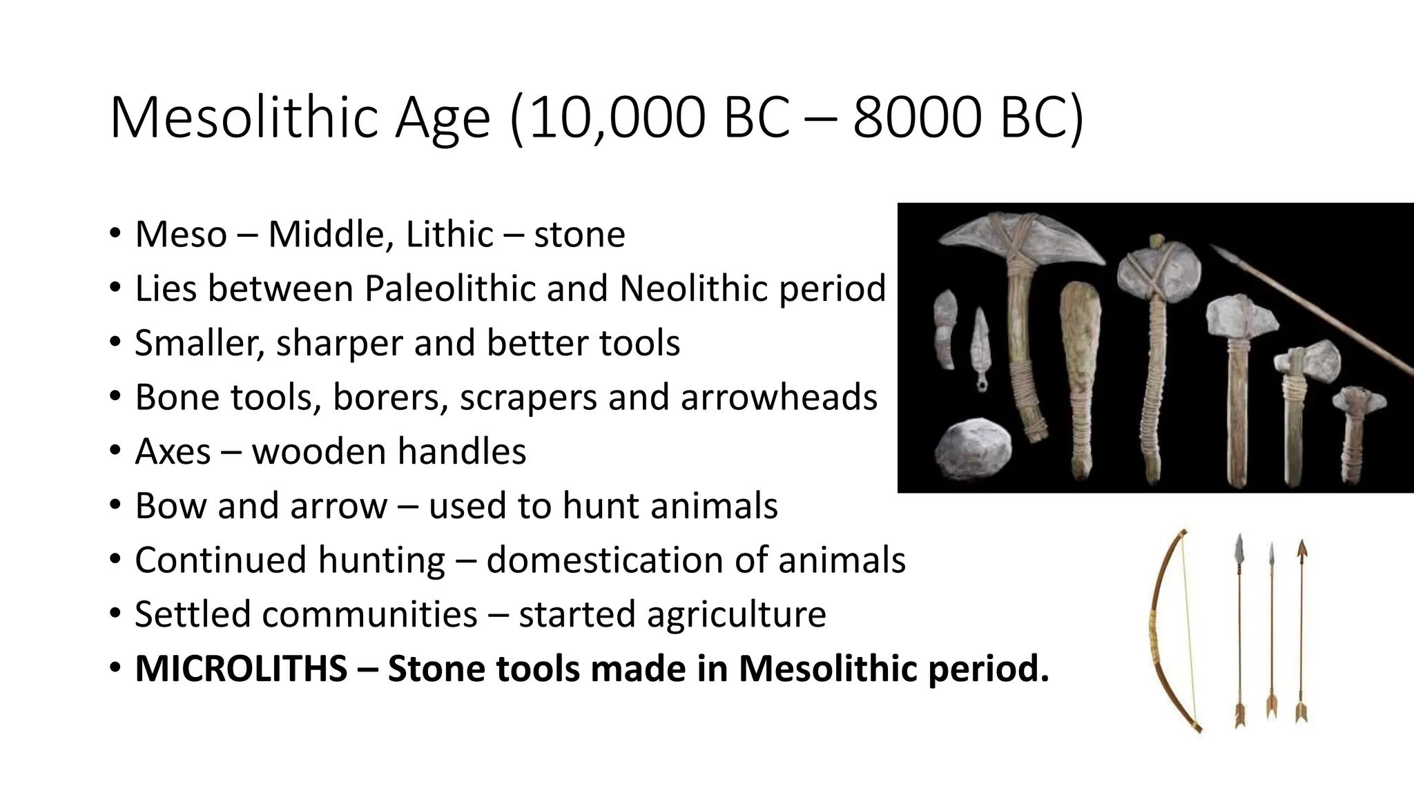 Grade 5 Social studies chapter 2 Stone age | PPTX