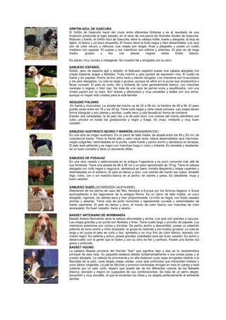 Razas de perros | PDF