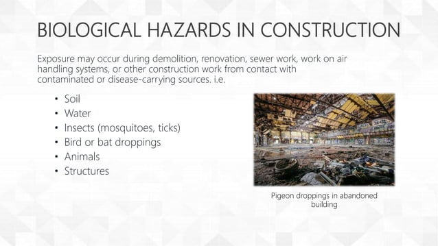 CHEMICAL & BIOLOGICAL HAZARDS IN CONSTRUCTION | PPTX | First Aid | Injuries