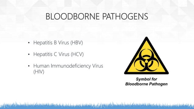 CHEMICAL & BIOLOGICAL HAZARDS IN CONSTRUCTION | PPTX | First Aid | Injuries
