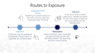 CHEMICAL & BIOLOGICAL HAZARDS IN CONSTRUCTION | PPTX