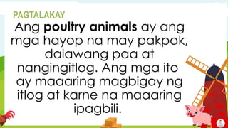 G5_EPP_Q2_WEEK1.pptx ANG KAHULUGAN NG ANIMAL PRODUCTION AT MGA SANGAY ...