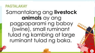 G5_EPP_Q2_WEEK1.pptx ANG KAHULUGAN NG ANIMAL PRODUCTION AT MGA SANGAY ...