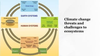 Freshwater Resources and their Ecosystem Services.pptx