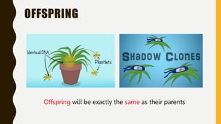 Reproduction.pptx