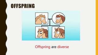 Reproduction.pptx