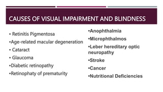 ED 7 REPORT VISUAL IMPAIRMENT INCLUDING BLINDNESS (INCLUSIVE EDUCATION ...