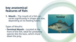 G6_Anatomy of Fish (align with the MATATAG CURRICULUM | PPTX