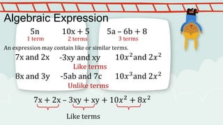 G6 Chapter 5. Lesson 3. W3.pptx