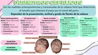 FISIOLOGÍA DEL TRABAJO DE PARTO Y MECANISMOS | PDF