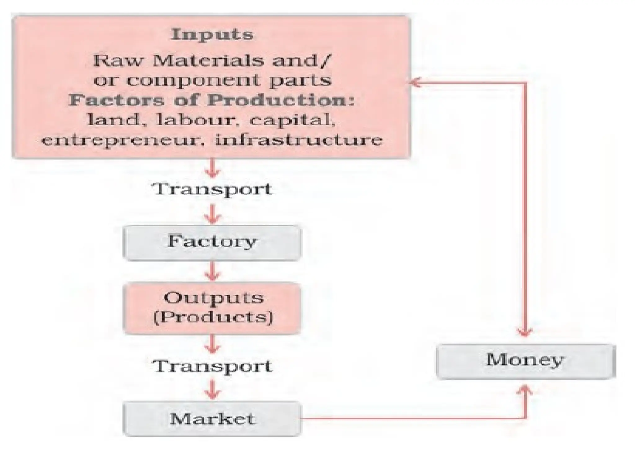 CBSE CLASS 10 INDUSTRIES - Introduction and classification of ...