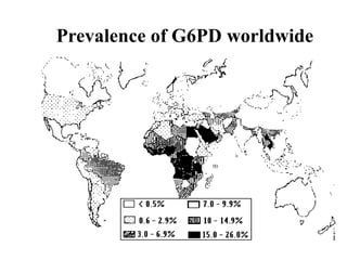 G6pd | PPT