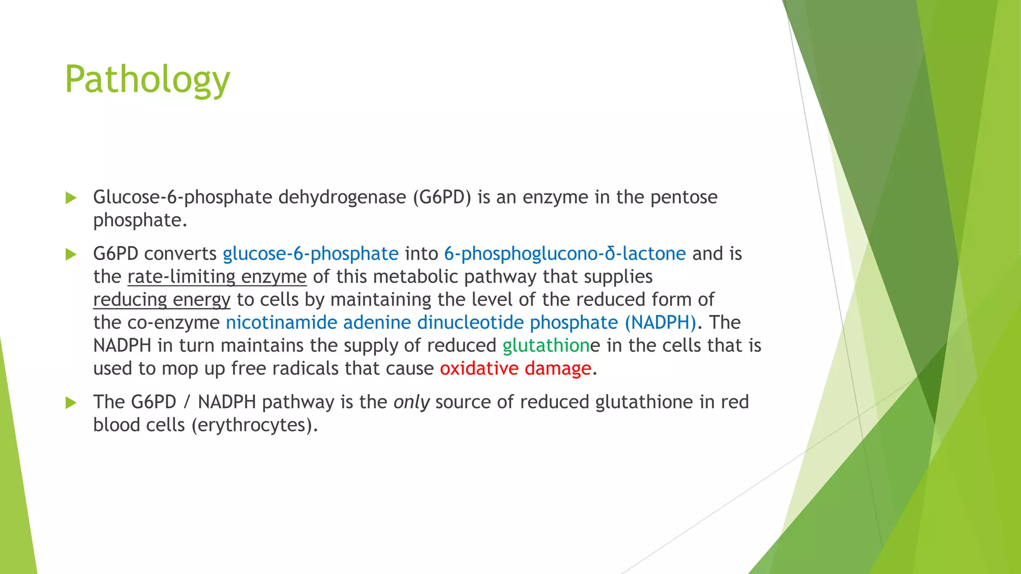 G6PD Deficiency | PPTX