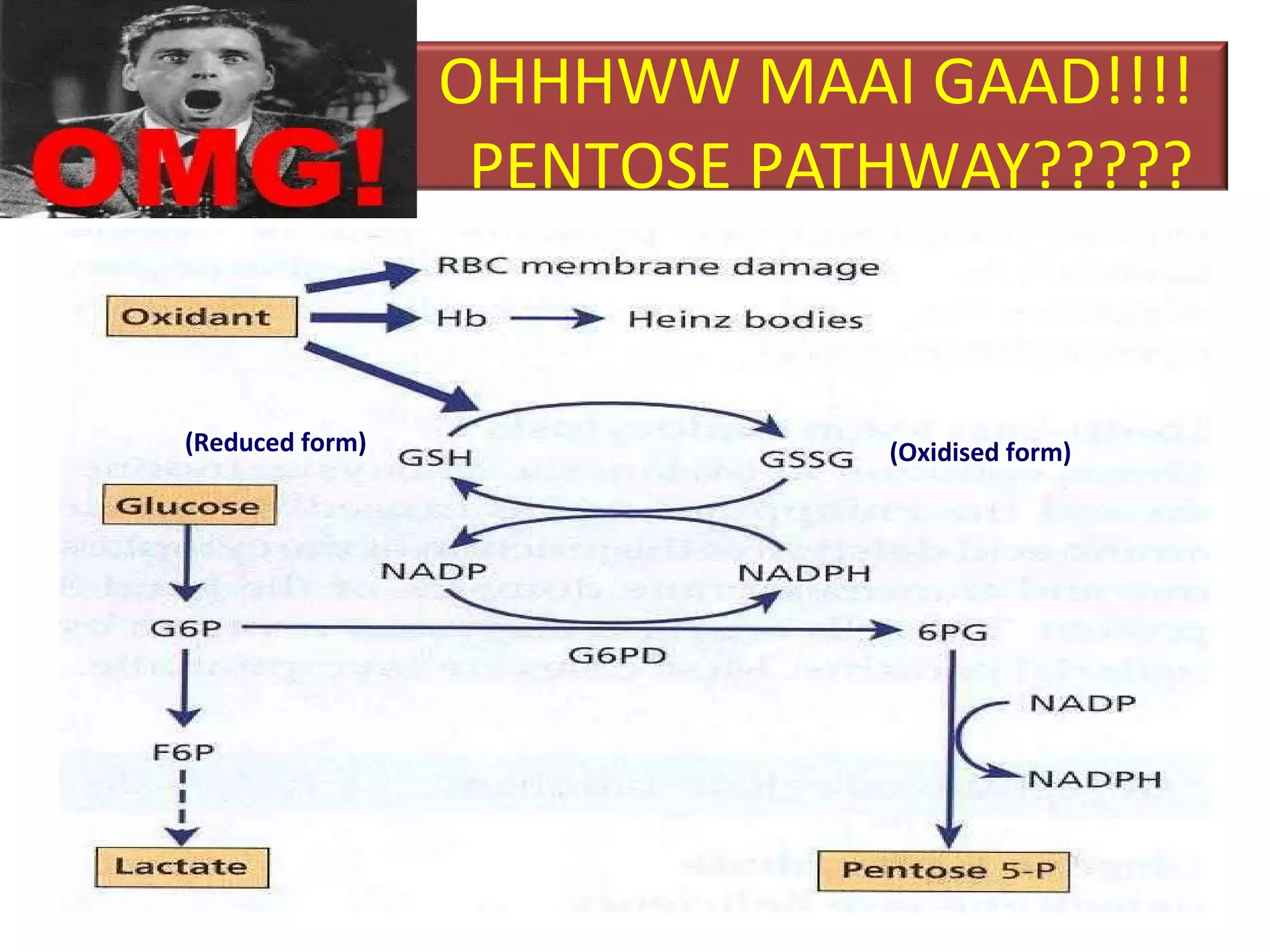 G6PD Deficiency Anaemai | PPT