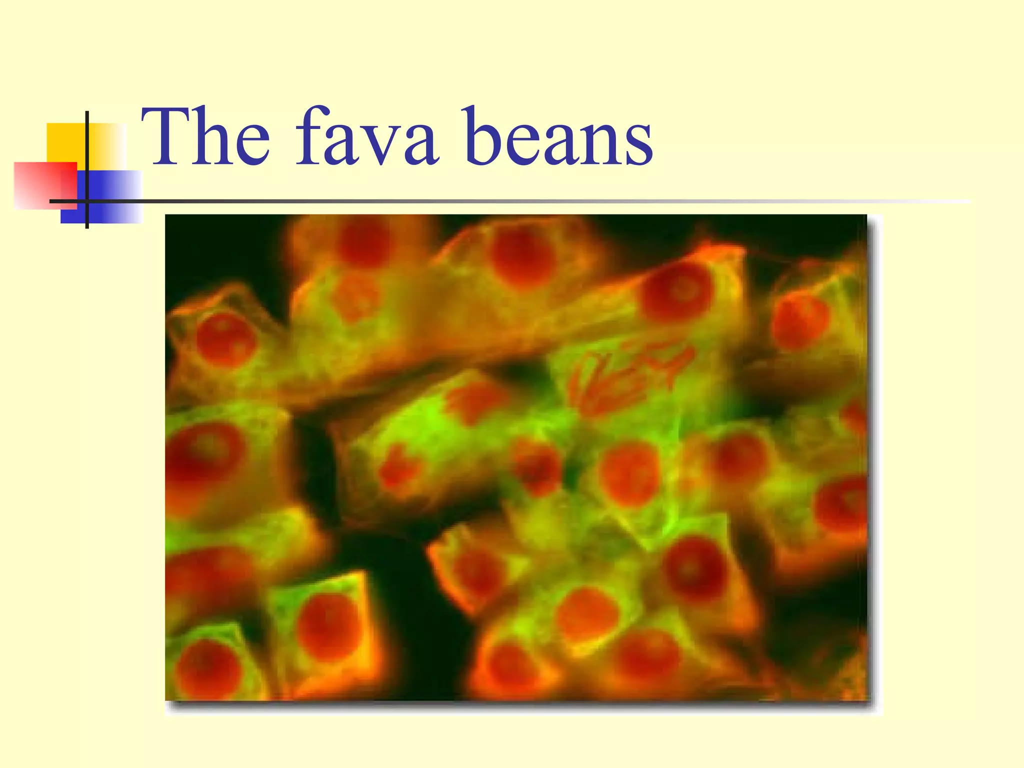 G6 Pd Deficiency | PPT