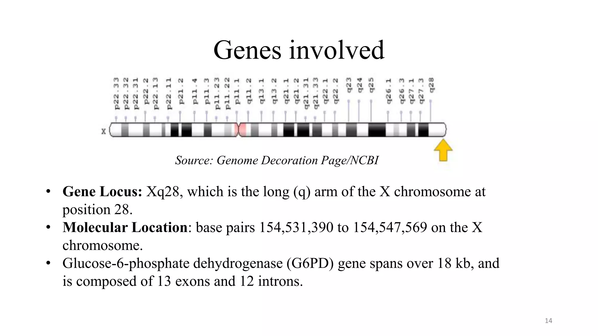 G6PD deficiency | PPTX