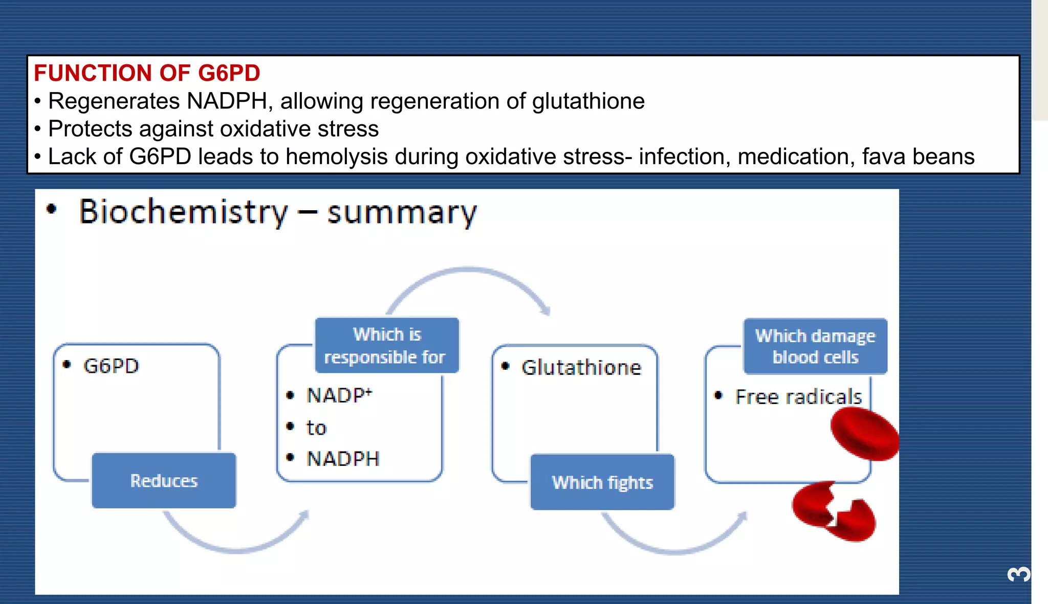 G6pd deficiency | PDF