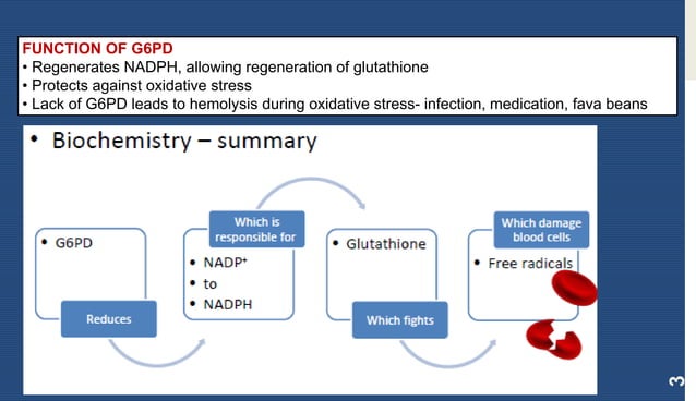 G6pd deficiency | PPT