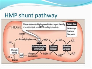 G6 pd dificiency_anemia_new | PPT