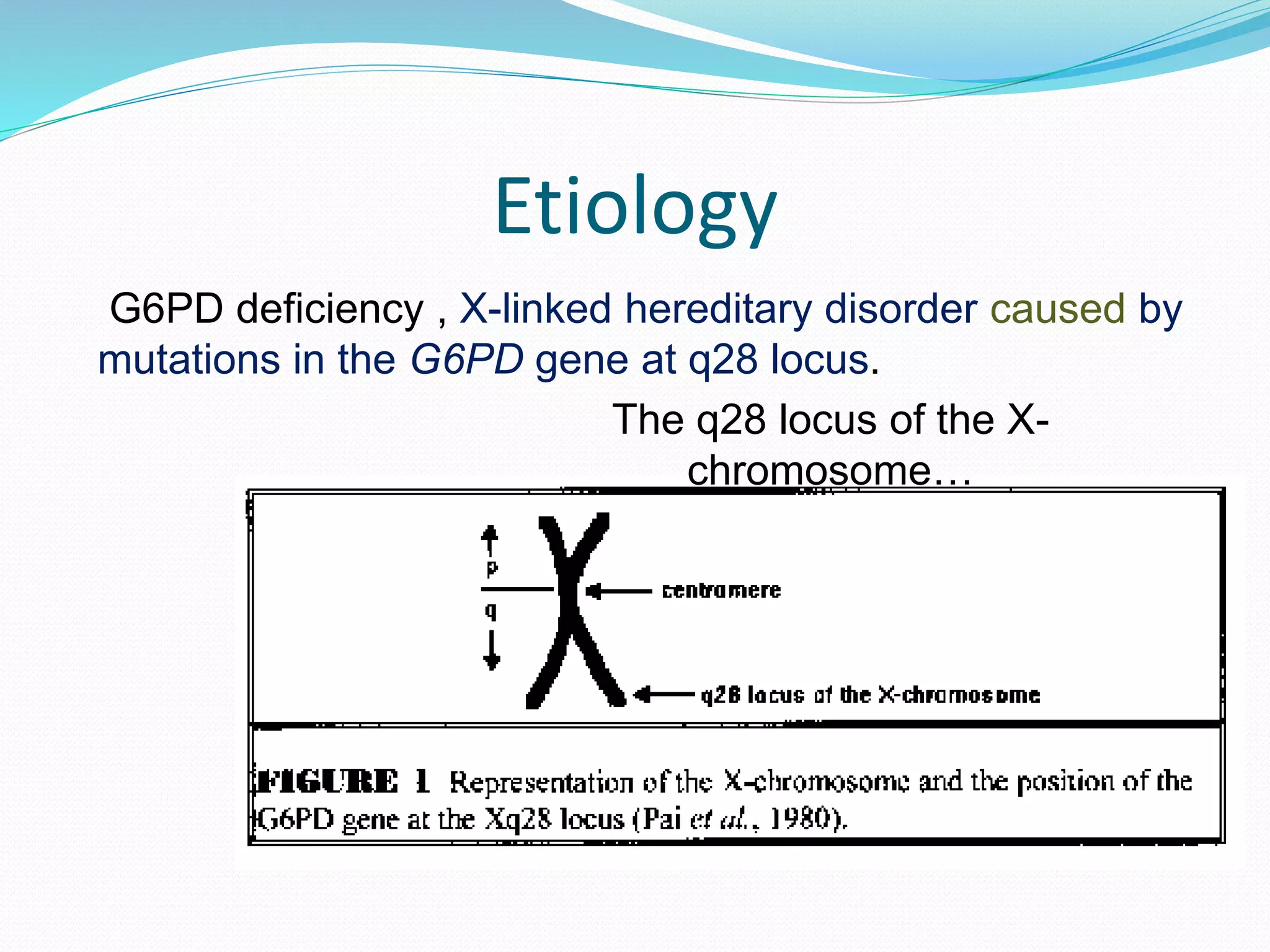 G6PD disease.pptx