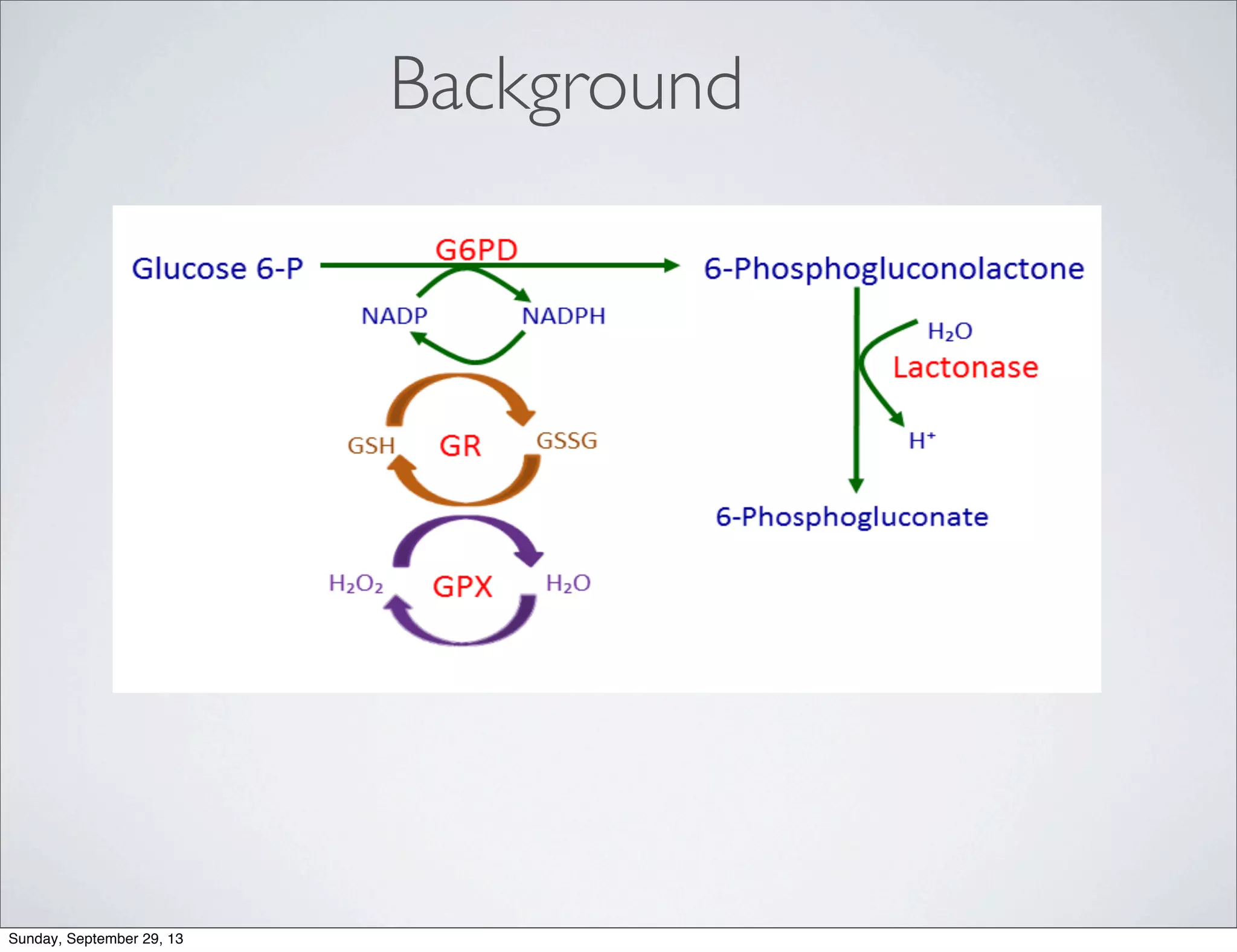 Glucose 6 Phosphate Dehydrogenase Deficiency G6PD | PDF