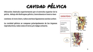 cavidades del cuerpo humano | PPTX