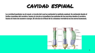 cavidades del cuerpo humano | PPTX