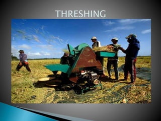 G6 Q1 WEEK 4-6 SEPARARING MIXTURES THROUGH WINNOWING.pptx