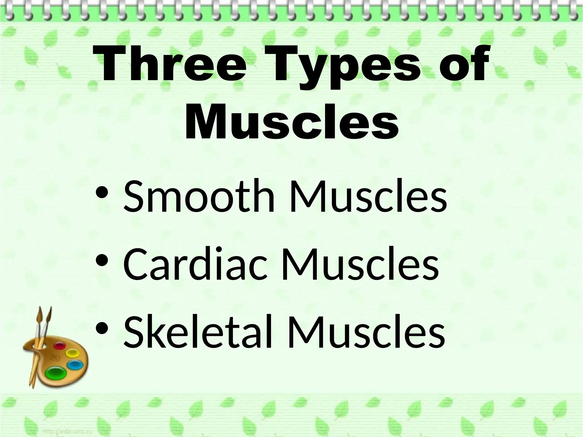 G6 Q2 WEEK 1-3 MUSCULAR SYSTEMThree Types of Muscles.pptx
