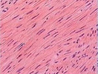 G6 Q2 WEEK 1-3 MUSCULAR SYSTEMThree Types of Muscles.pptx