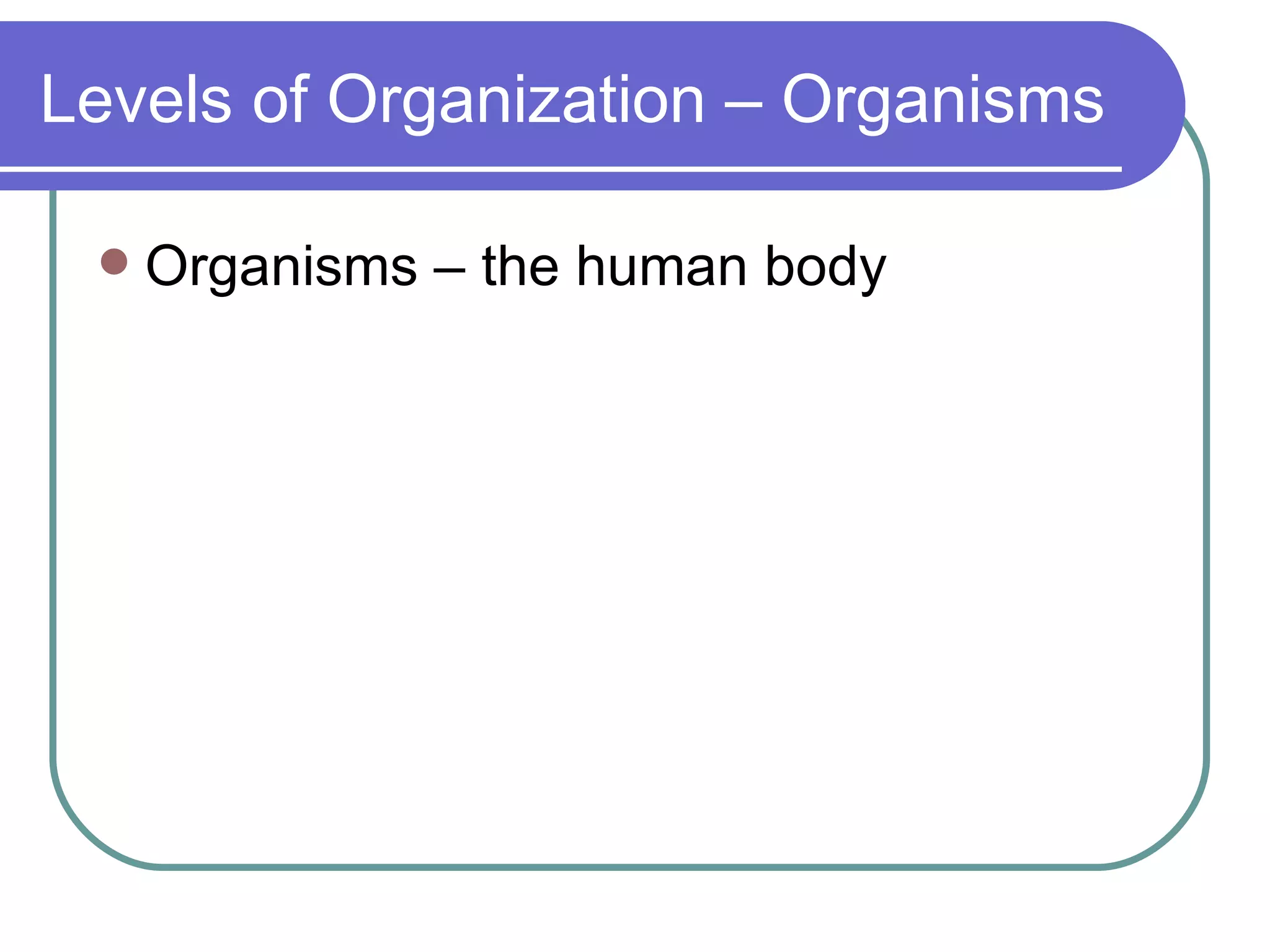 Cells & Levels of Organization | PPT