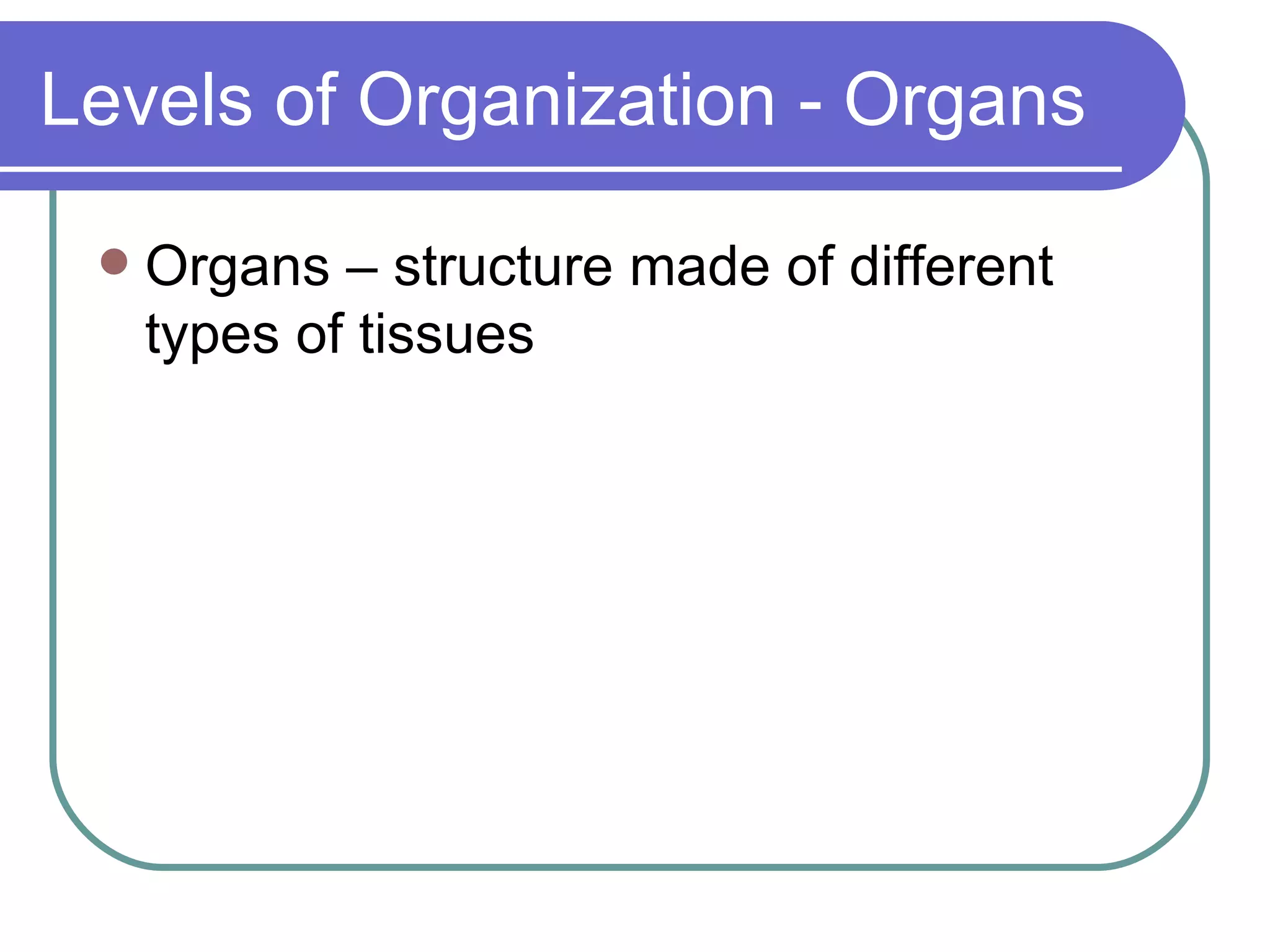 Cells & Levels of Organization | PPT