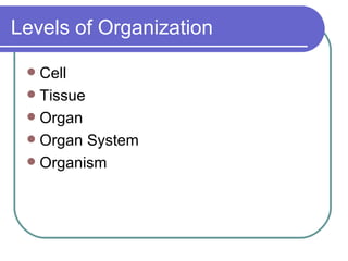 Cells & Levels of Organization | PPT