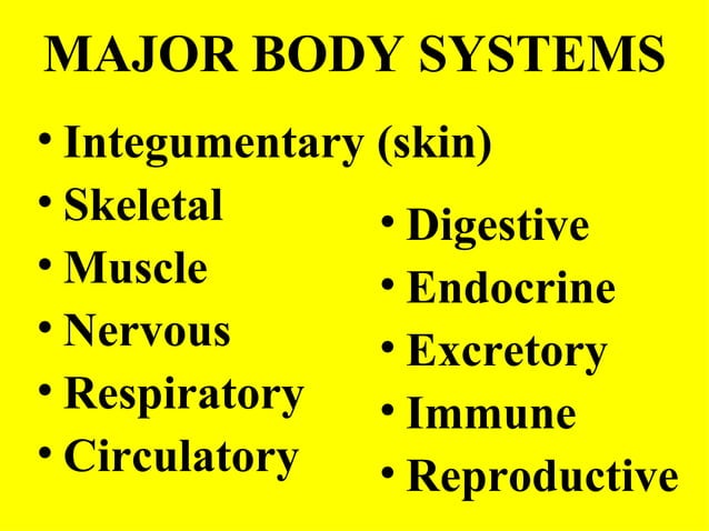 Muscle System Class Notes | PPT Muscle System Class Notes | PPT