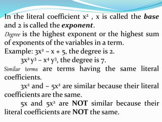 Polynomials Mathematics Grade 7 | PPTX