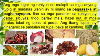 G7- AP LESSON 3.pptx