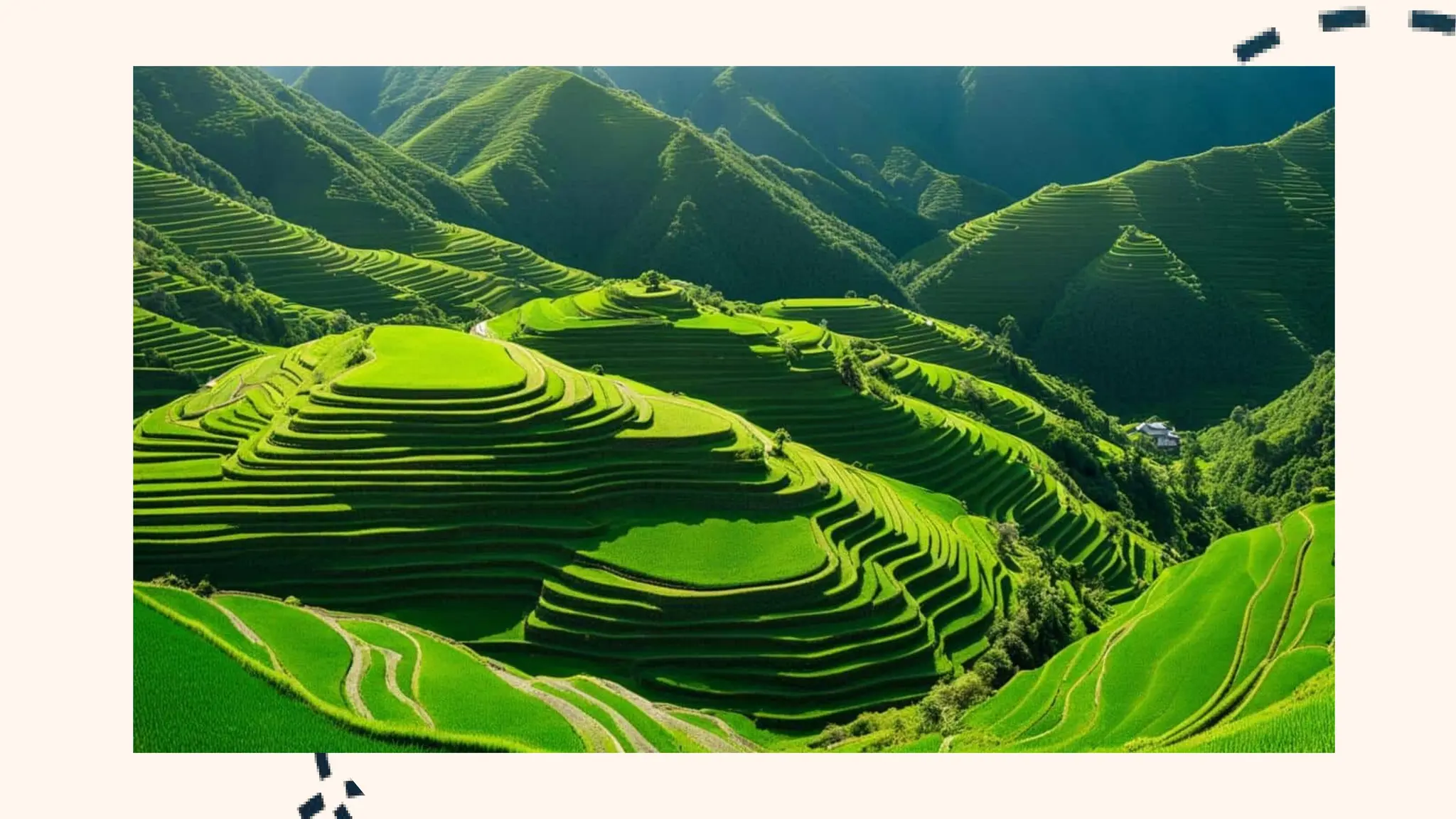 G7-FCS-WK-1 (1) scope of tourism and hospitality industry.pptx