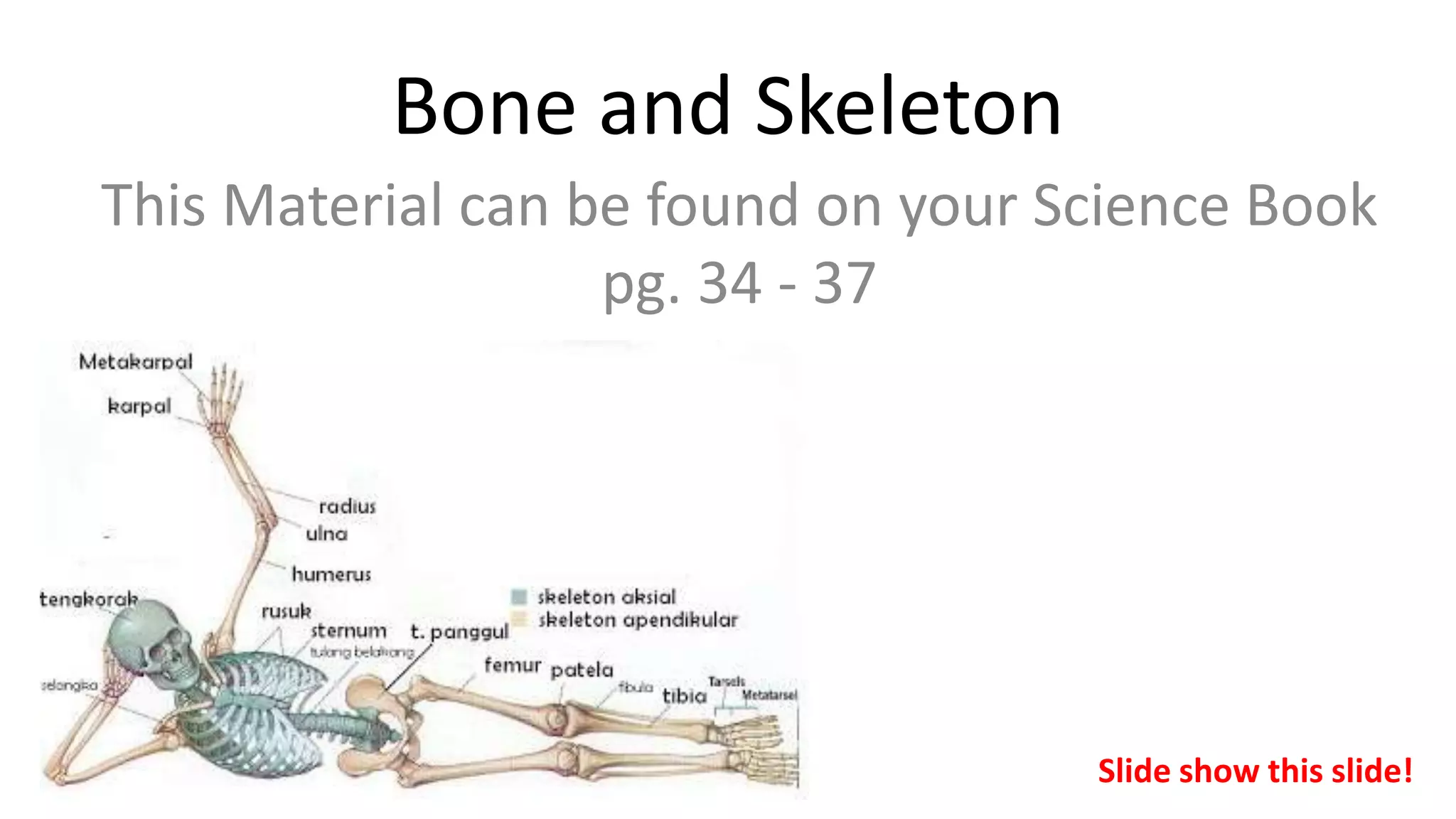 G7_Bones and Skeleton.pptx